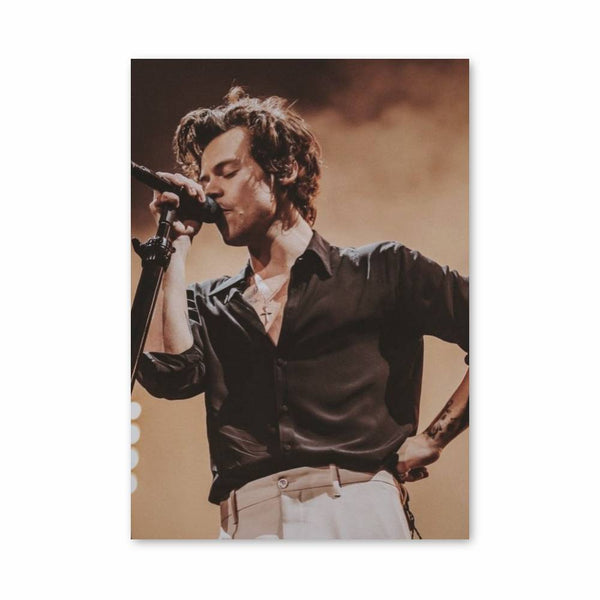 Poster Harry Styles Concert | Aesthetic Posters