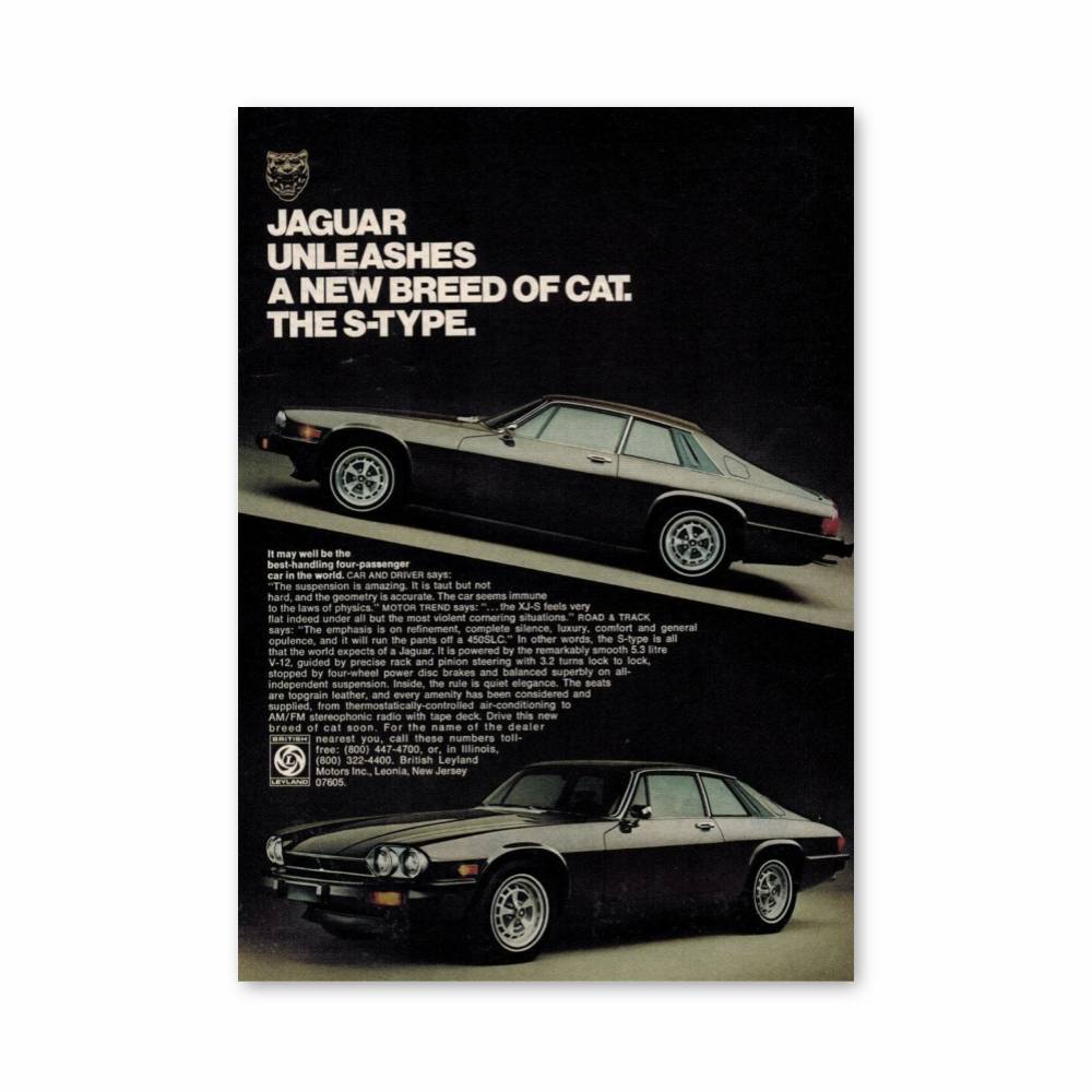 Jaguar Posters | Aesthetic Posters