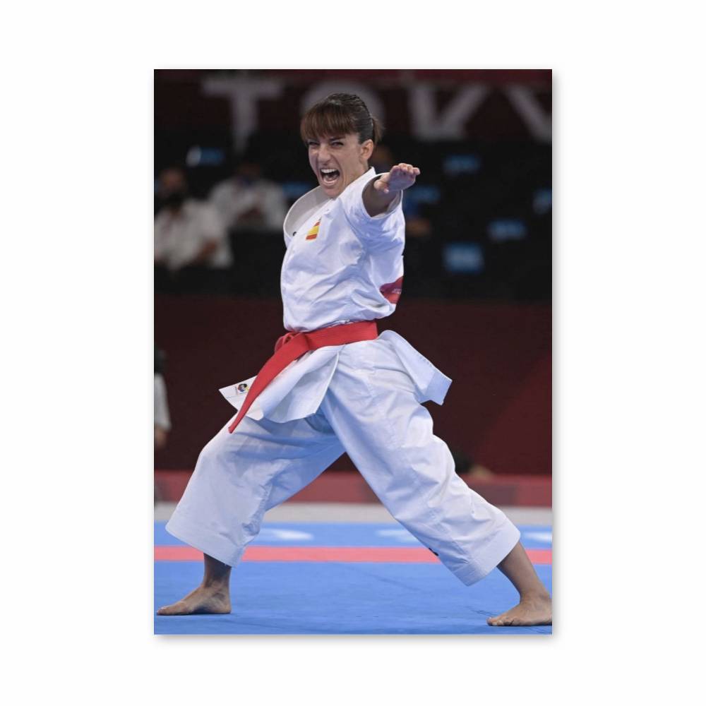 Karate Posters | Aesthetic Posters