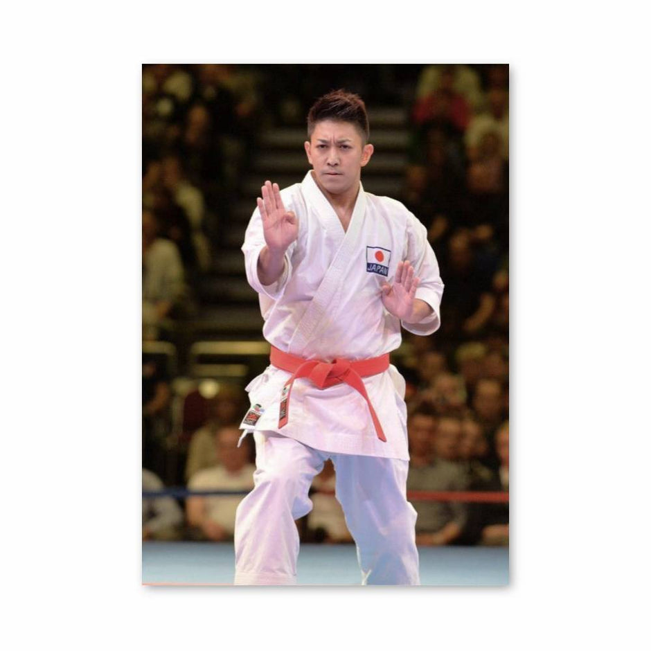 Karate Posters | Aesthetic Posters