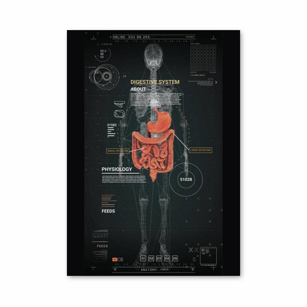 Poster Digestive System | Aesthetic Posters