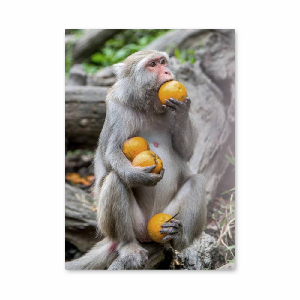 Poster Monkey Gourmet | Aesthetic Posters