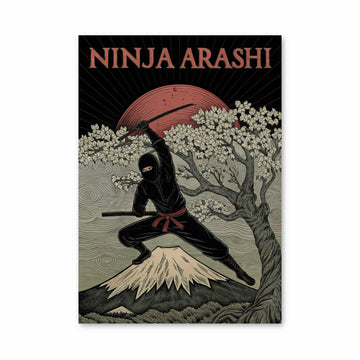 Ninja Posters | Aesthetic Posters