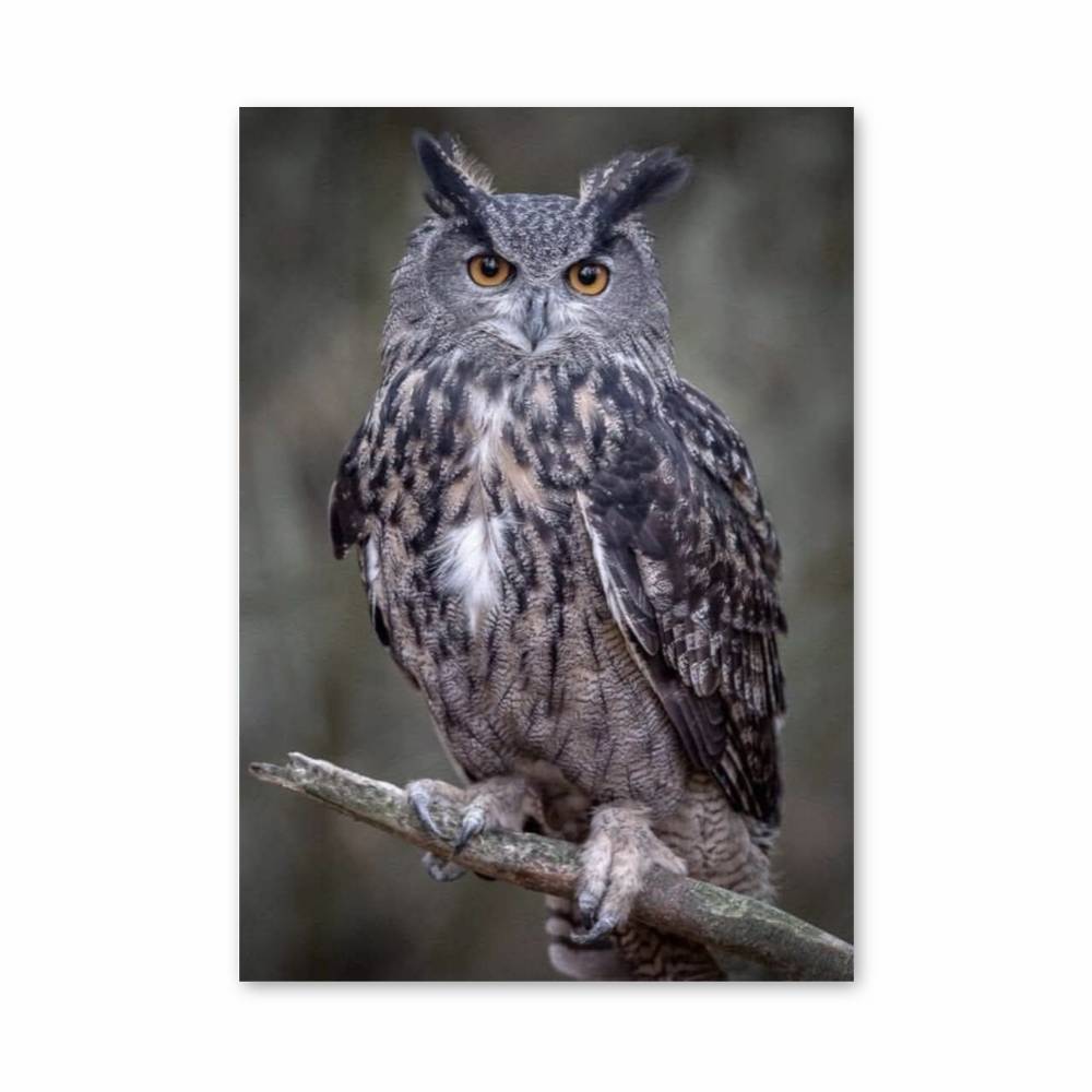 Poster Majestic Grand Duke | Aesthetic Posters