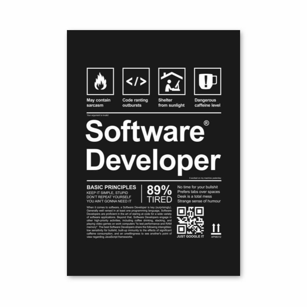 Post Software Developer | Aesthetic Posters