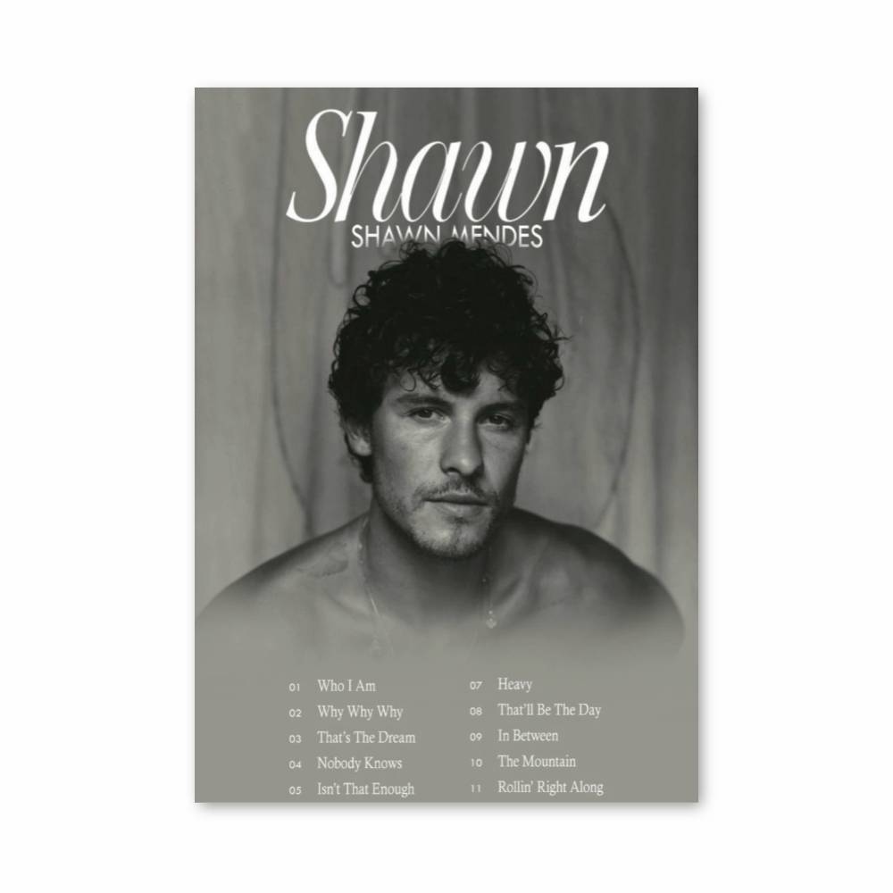 Poster Shawn Introspection | Aesthetic Posters
