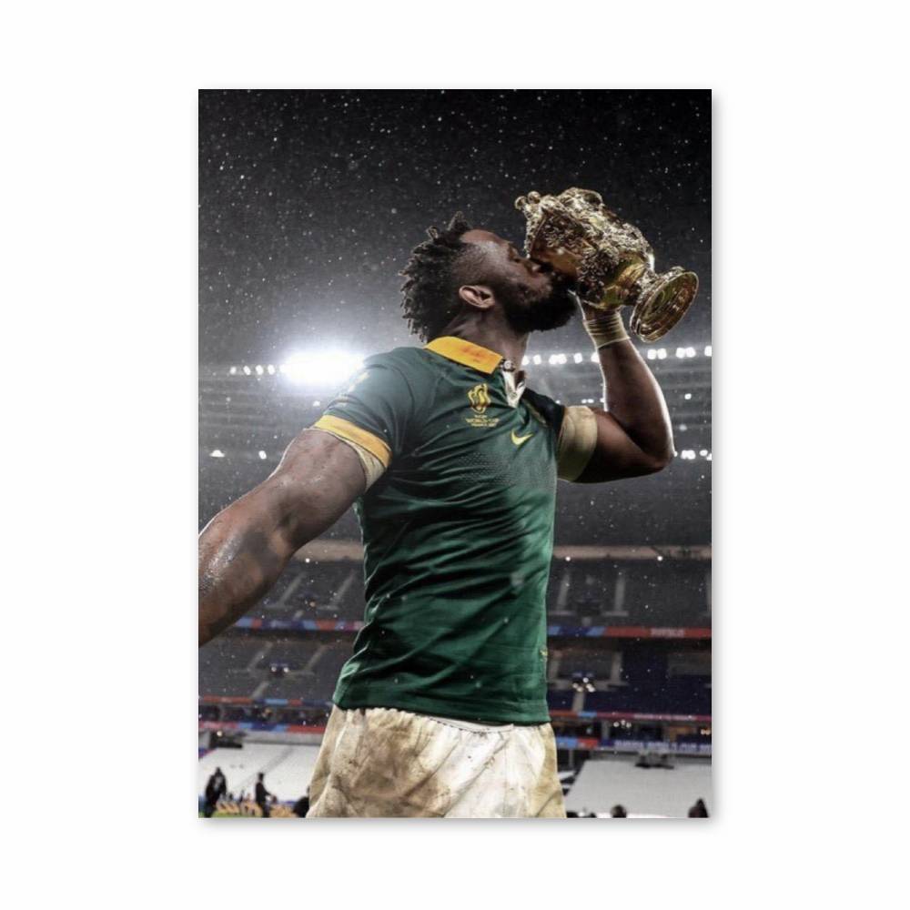 Springbok Victory Poster | Aesthetic Posters
