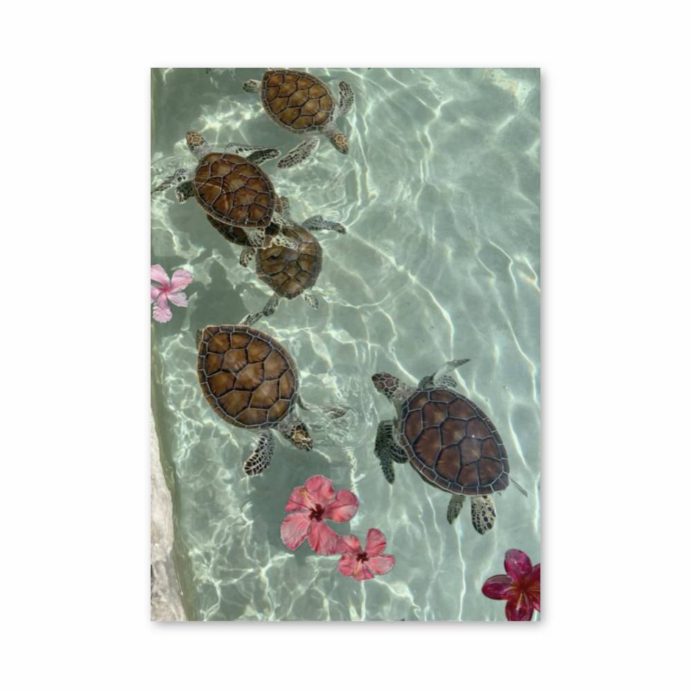 Poster Tropical Turtles | Aesthetic Posters