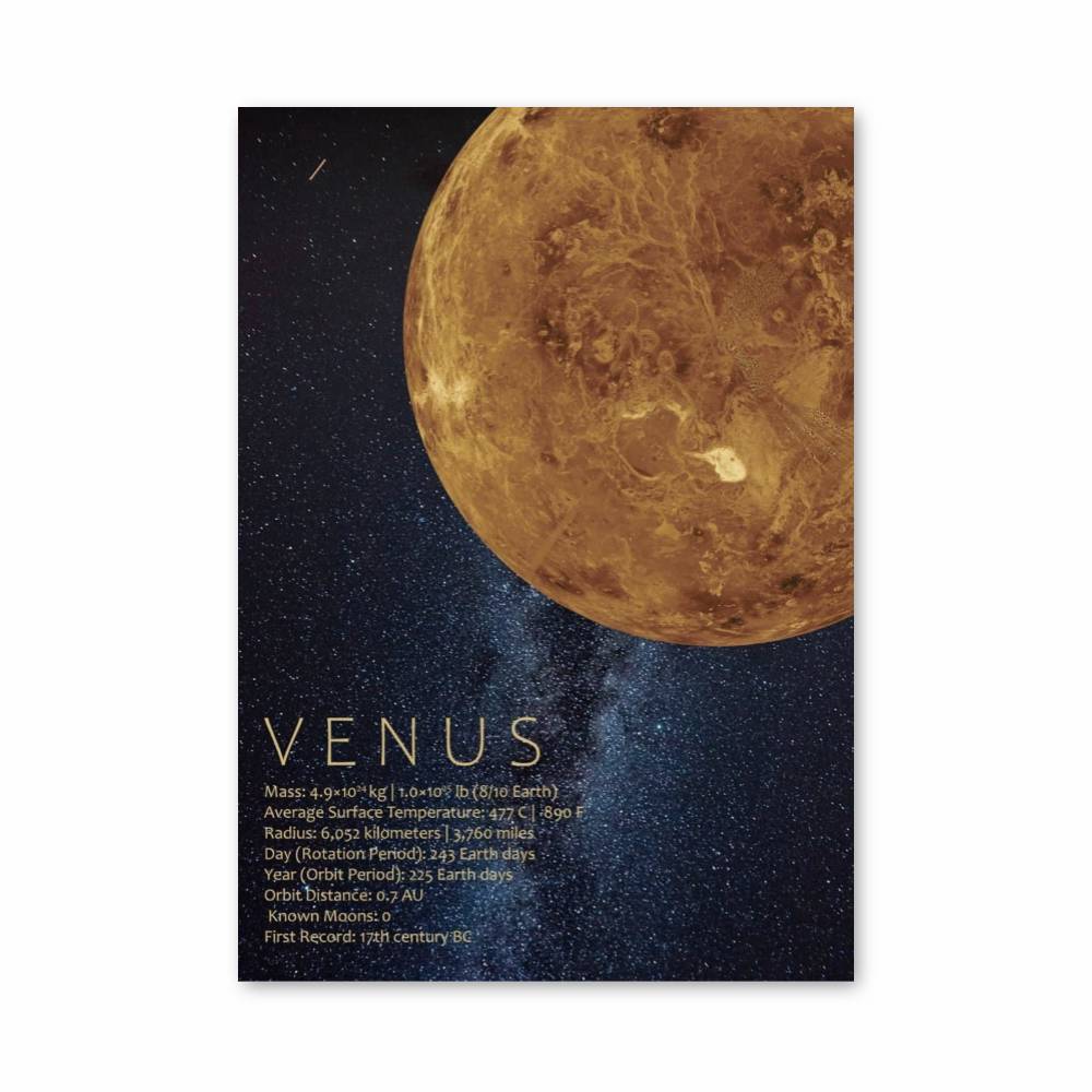 Poster Venus Star | Aesthetic Posters
