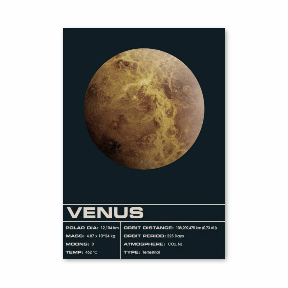 Venus Posters | Aesthetic Posters