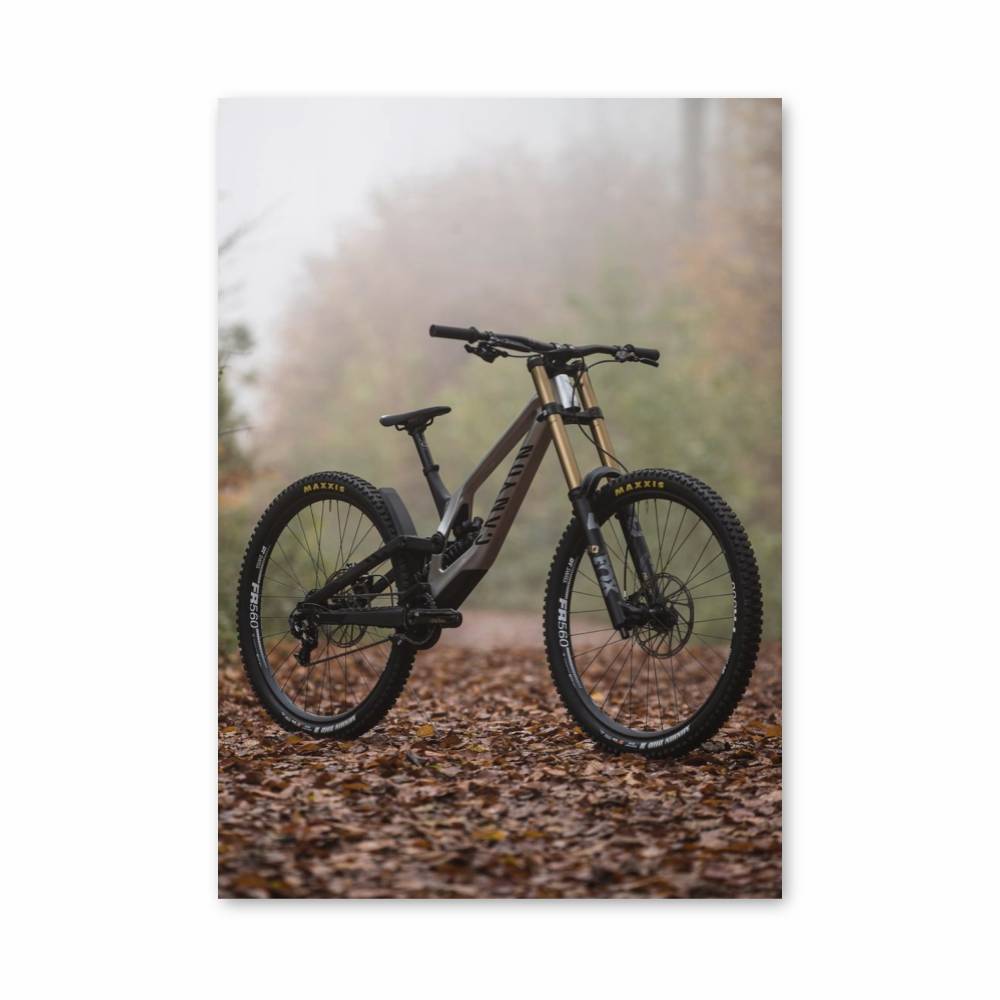 MTB posters | Aesthetic Posters