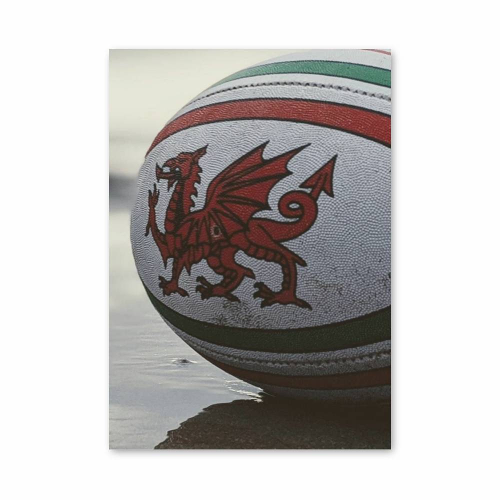 Dragon Rugby Poster | Aesthetic Posters